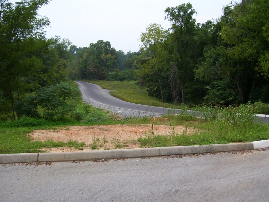 Irene Lane - Land Development Solutions